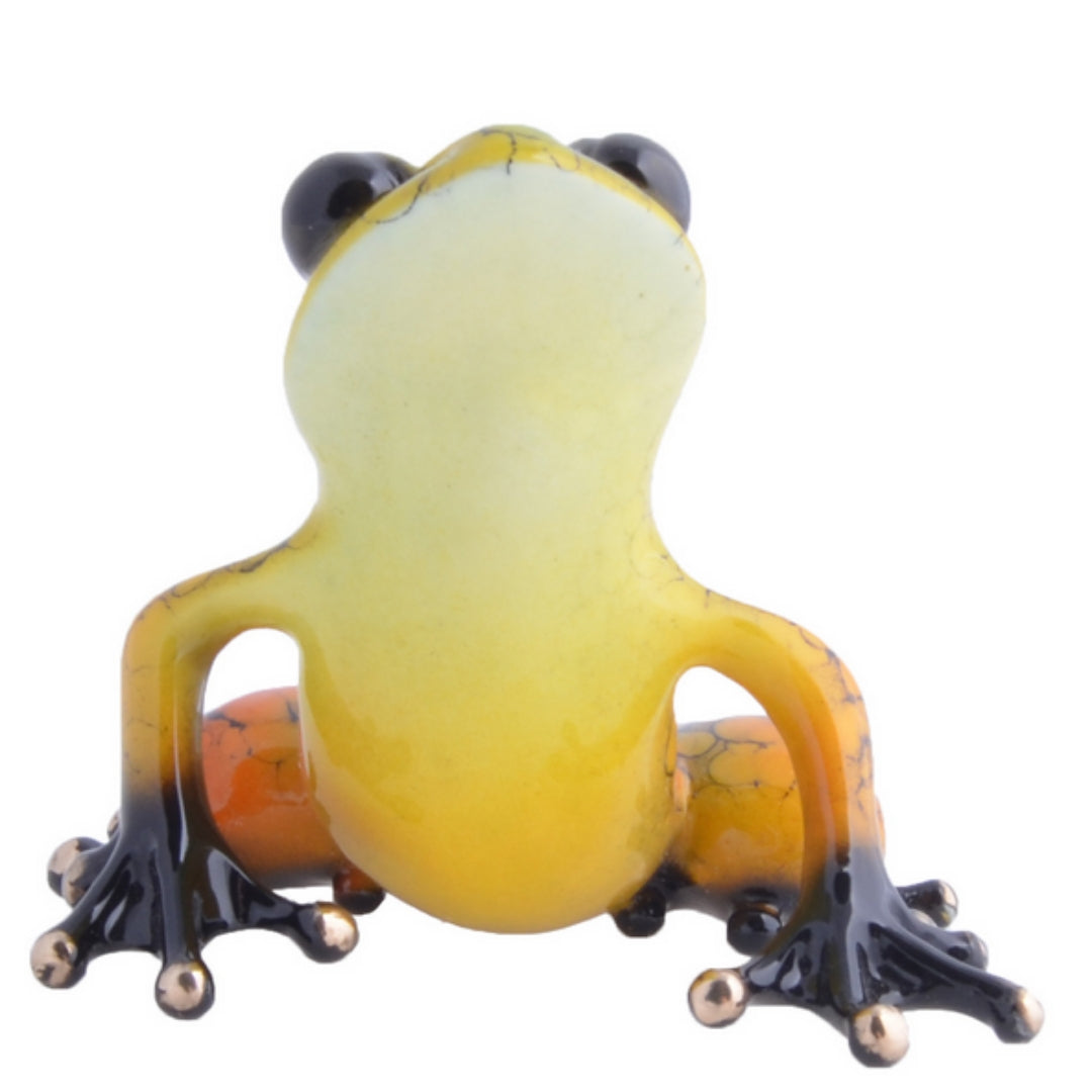 SALSA | PoP x HoyPoloi Gallery