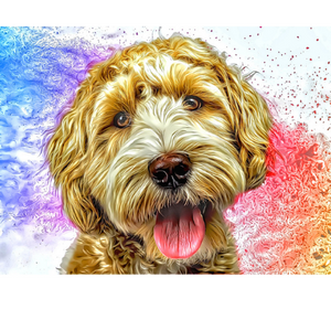 DOGS - Labradoodle Smile by Alan Foxx | PoP x HoyPoloi Gallery